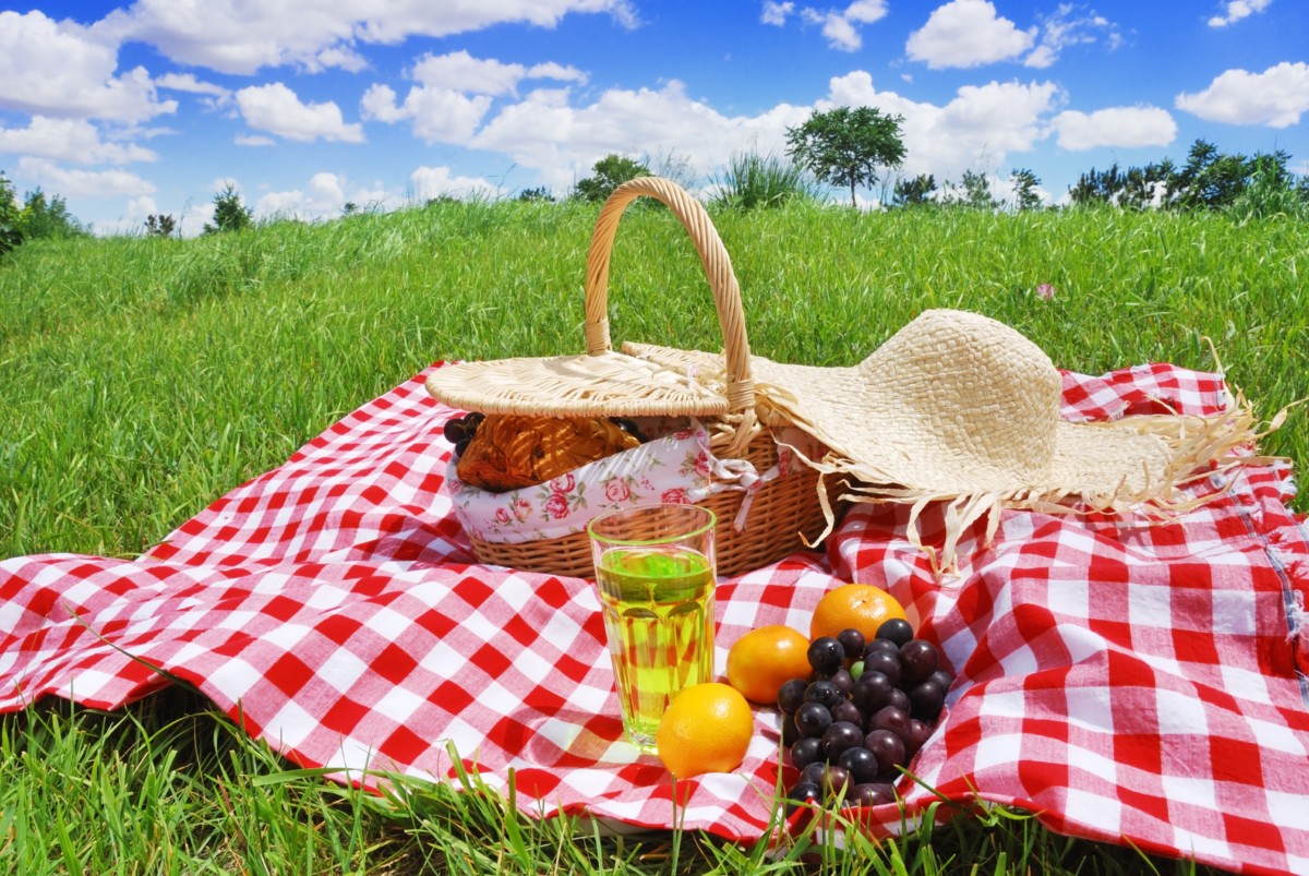 Picnic Activities for Sensory Development - First Leap, Austin TX